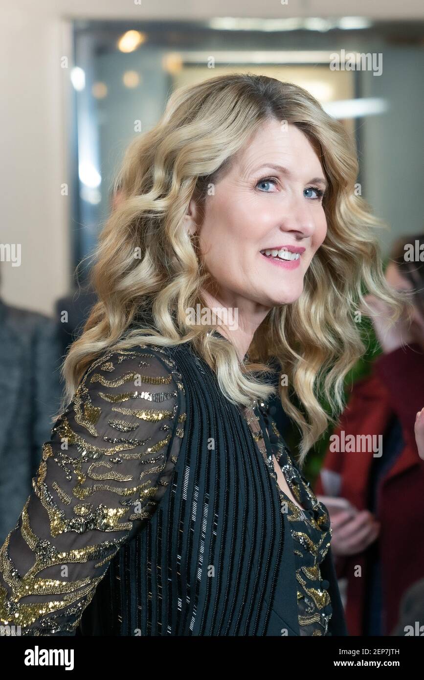 Laura Dern attends the NY Premiere of "Marriage Story" at the Paris ...