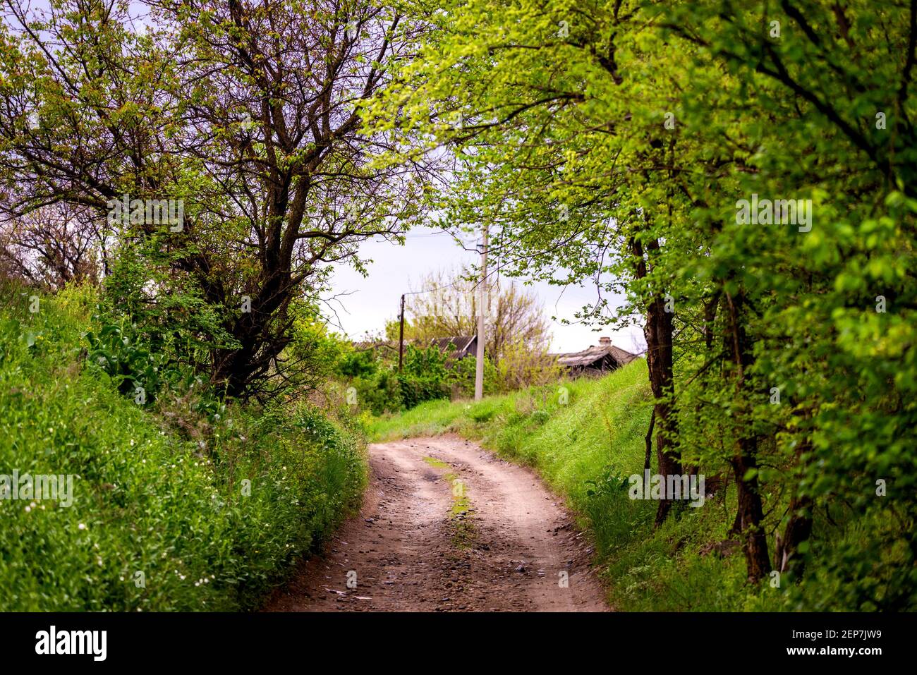 A rural dirt road in the village to the house Stock Photo - Alamy
