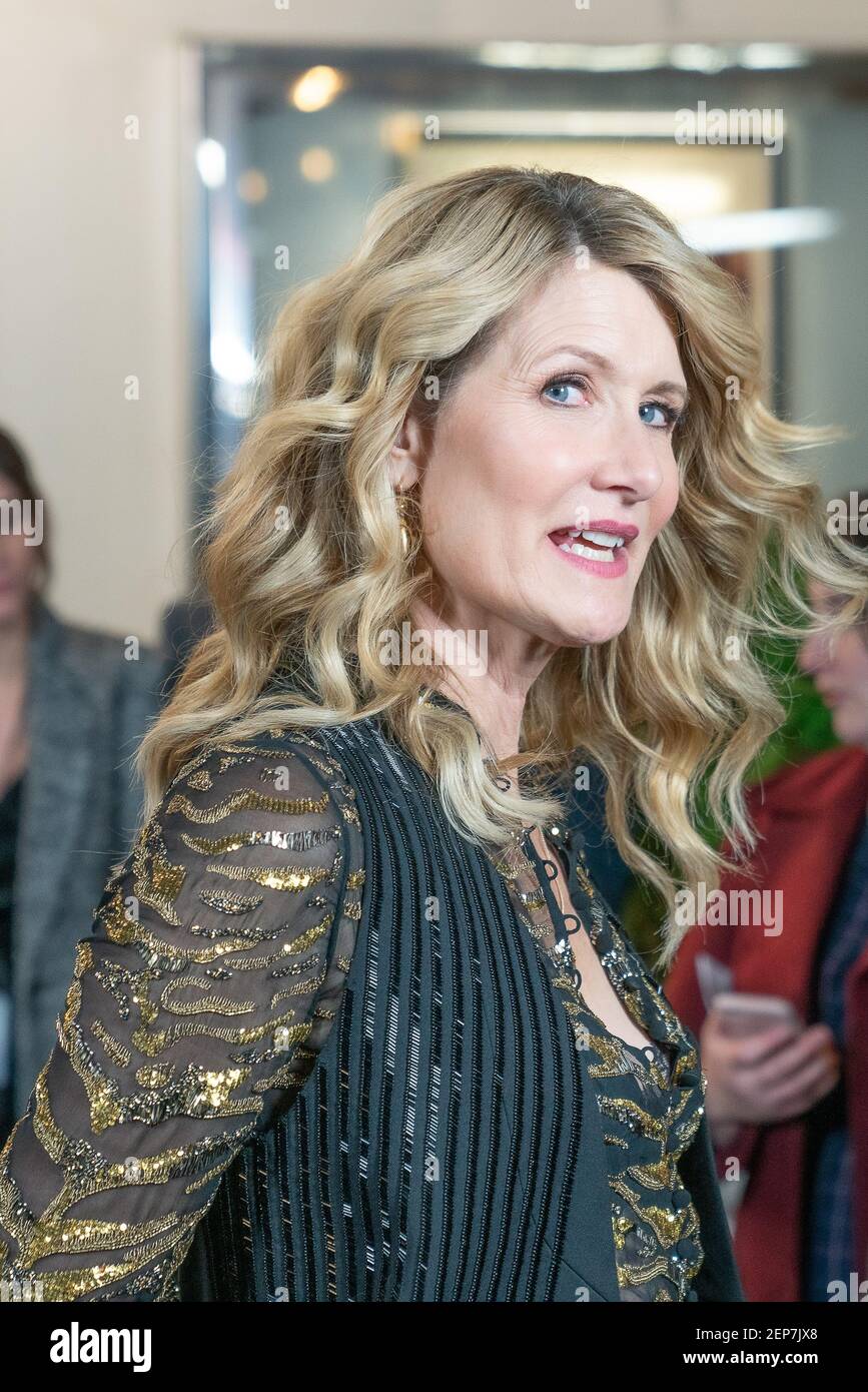 Laura Dern attends the NY Premiere of "Marriage Story" at the Paris ...