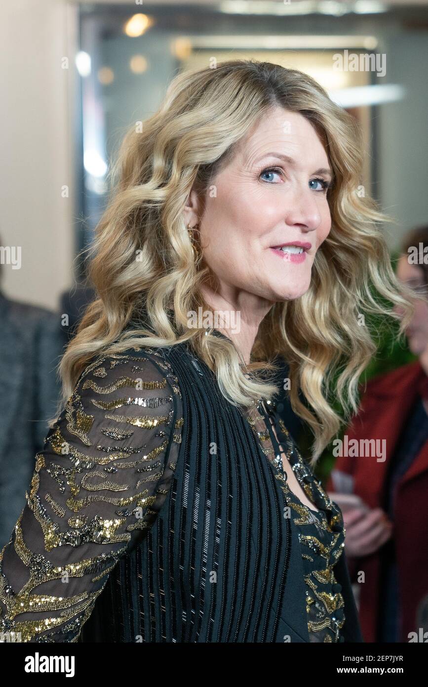Laura Dern attends the NY Premiere of "Marriage Story" at the Paris ...