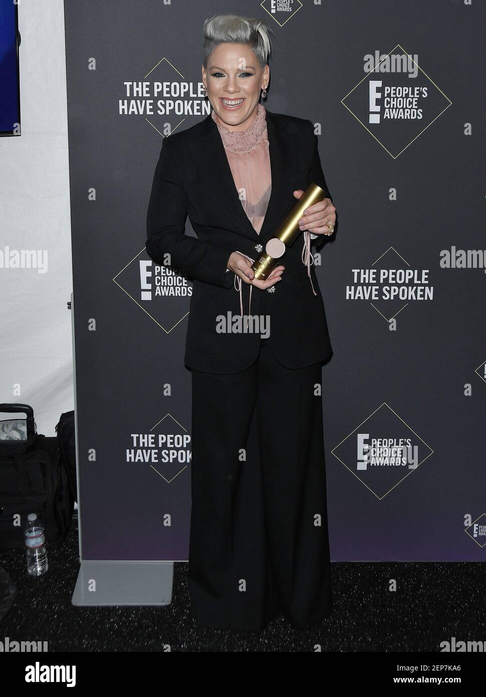 Pink, winner of People's Champion Award of 2019 award at the 2019 E ...