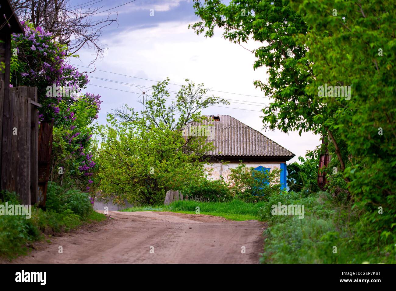 A rural dirt road in the village to the house Stock Photo - Alamy
