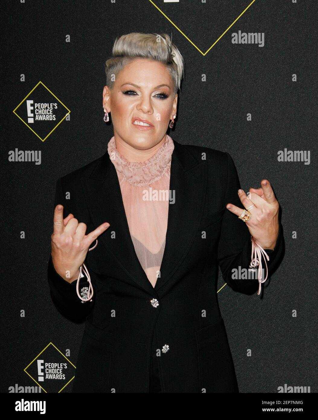 Pink attends the 2019 E! People's Choice Awards at Barker Hangar on ...