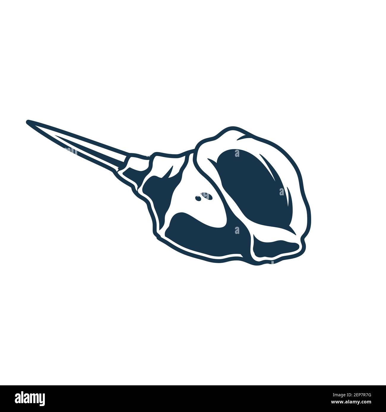 Stylized shell hi-res stock photography and images - Alamy