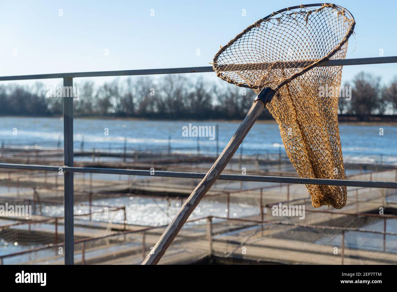 A hand net for scooping fish in fish farm Stock Photo - Alamy