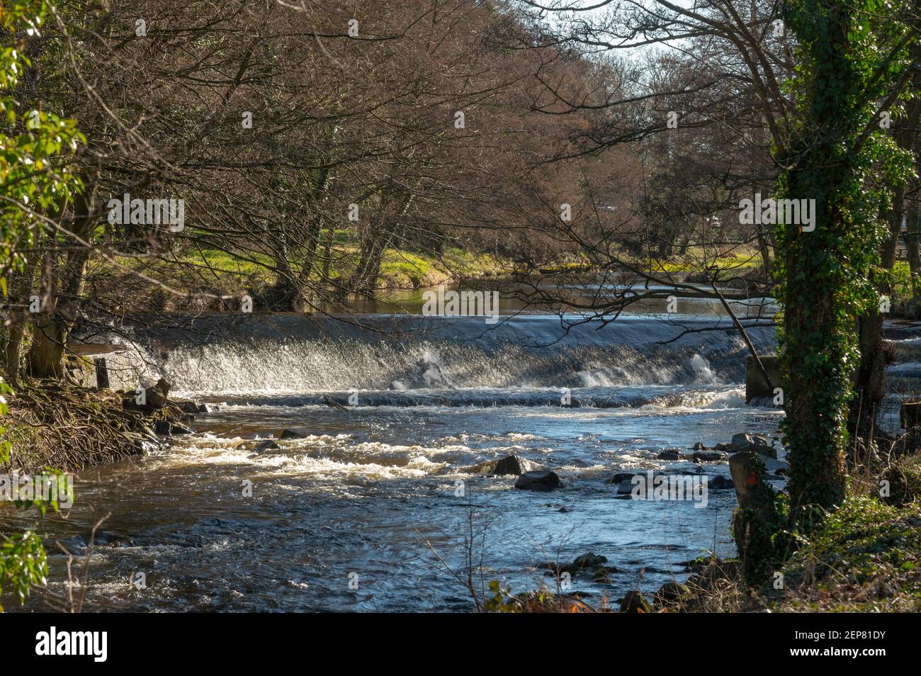 Wooler, Northumberland, UK. 26th Feb 2021. UK Weather, spring colour A ...