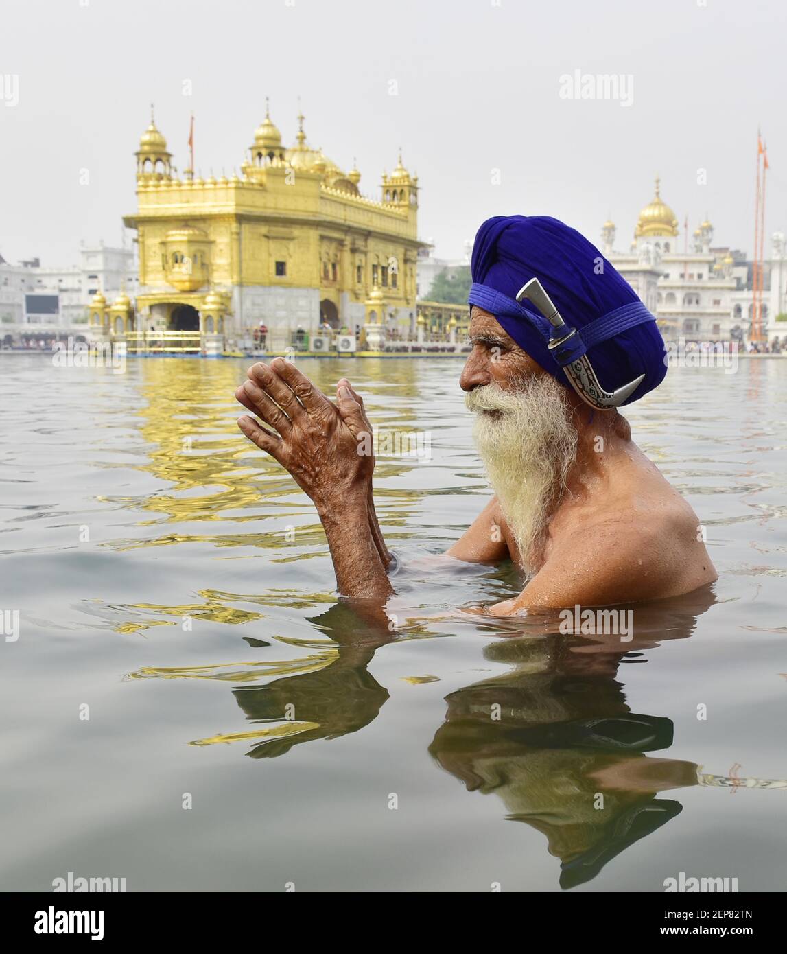 AMRITSAR, INDIA - NOVEMBER 12: A Sikh devotee takes a dip in the holy ...