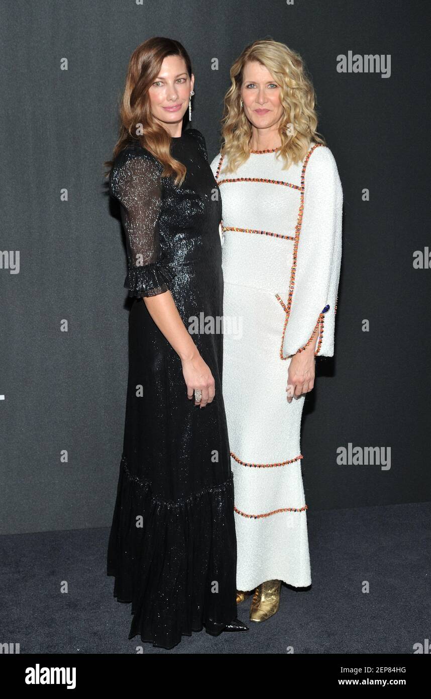 L-R: Jill Vedder and Laura Dern attend the Museum of Modern Art Film ...