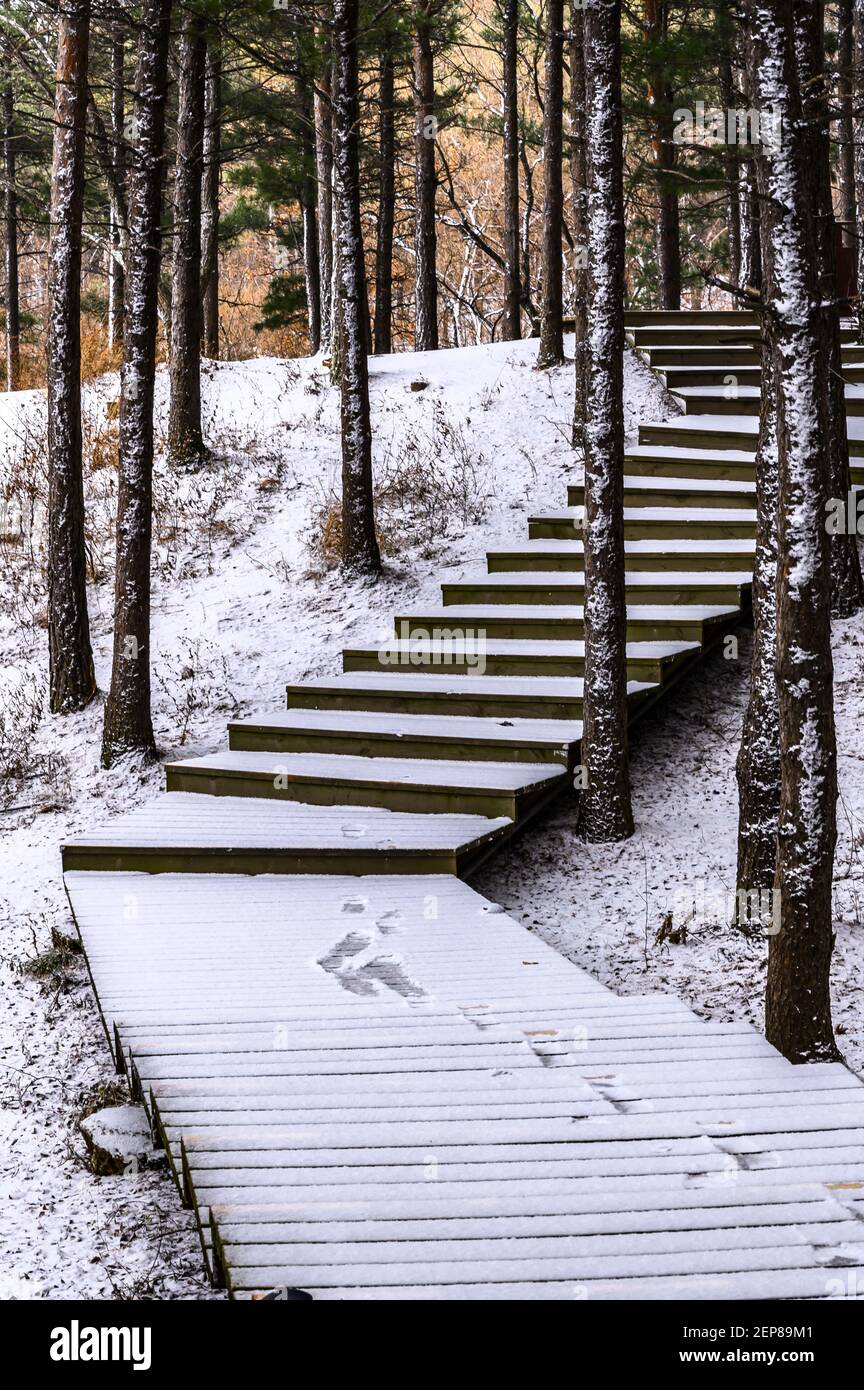 Jilin ,CHINA-The first snow of this winter quietly arrived in Changchun ...