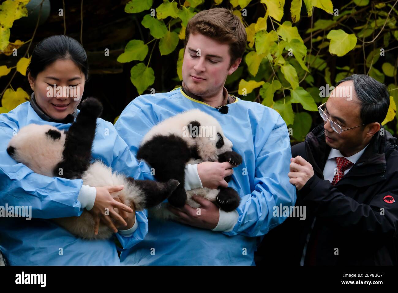 Caretakers carry panda cubs 'Bao Di' and 'Bao Mei' at a ceremony to ...