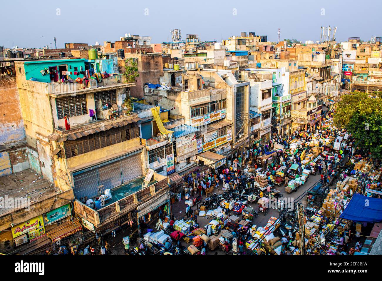 Daily life in India, stock images of Delhi, India. 14 Nov 2019 (Photo by DPPA/Sipa USA Stock ...