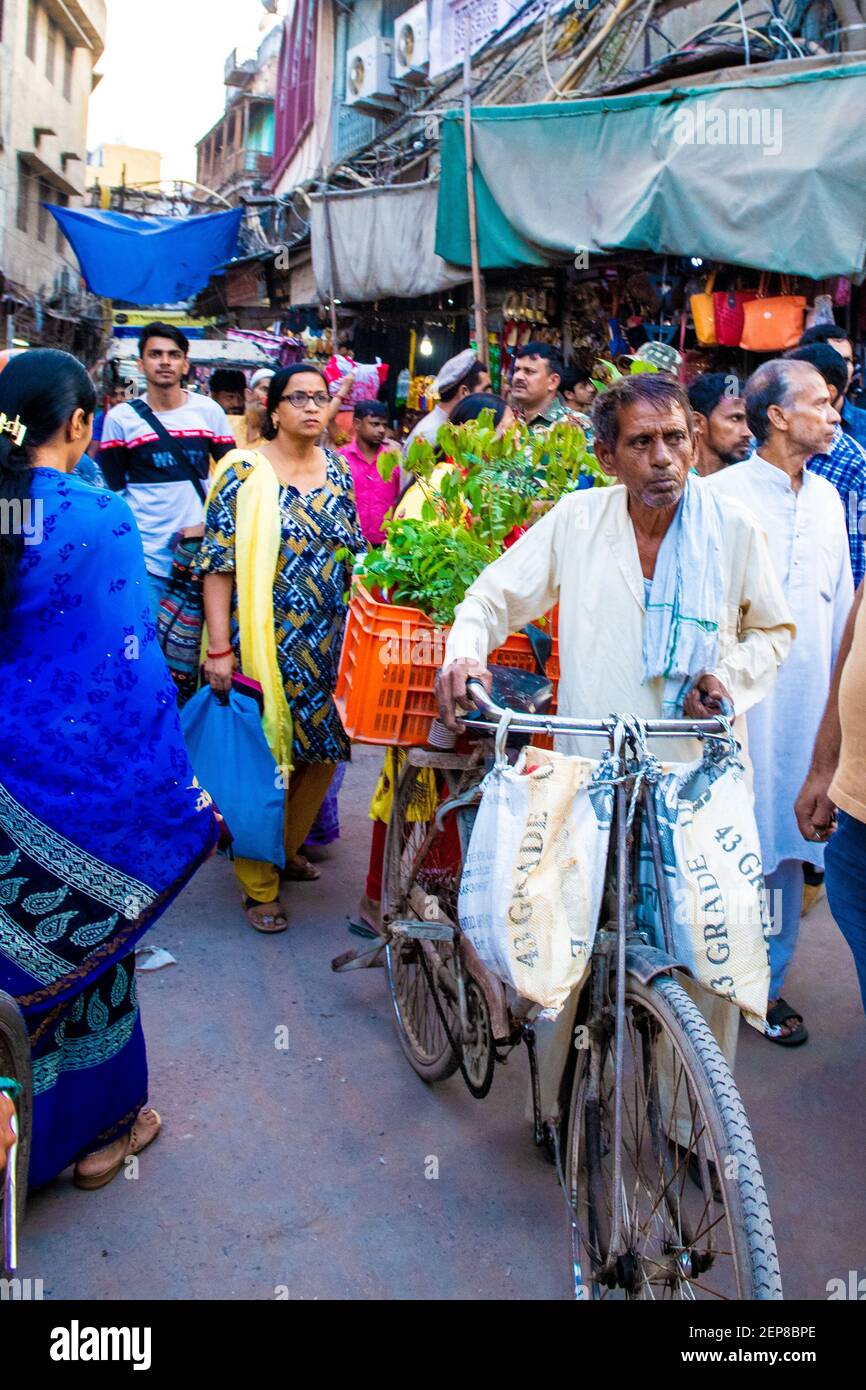 Daily life in India, stock images of Delhi, India. 14 Nov 2019 (Photo ...