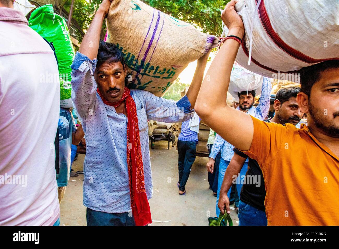 Daily life in India, stock images of Delhi, India. 14 Nov 2019 (Photo ...