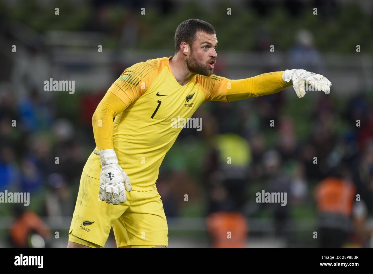 Stefan Marinovic of New Zealand during the International Friendly match ...