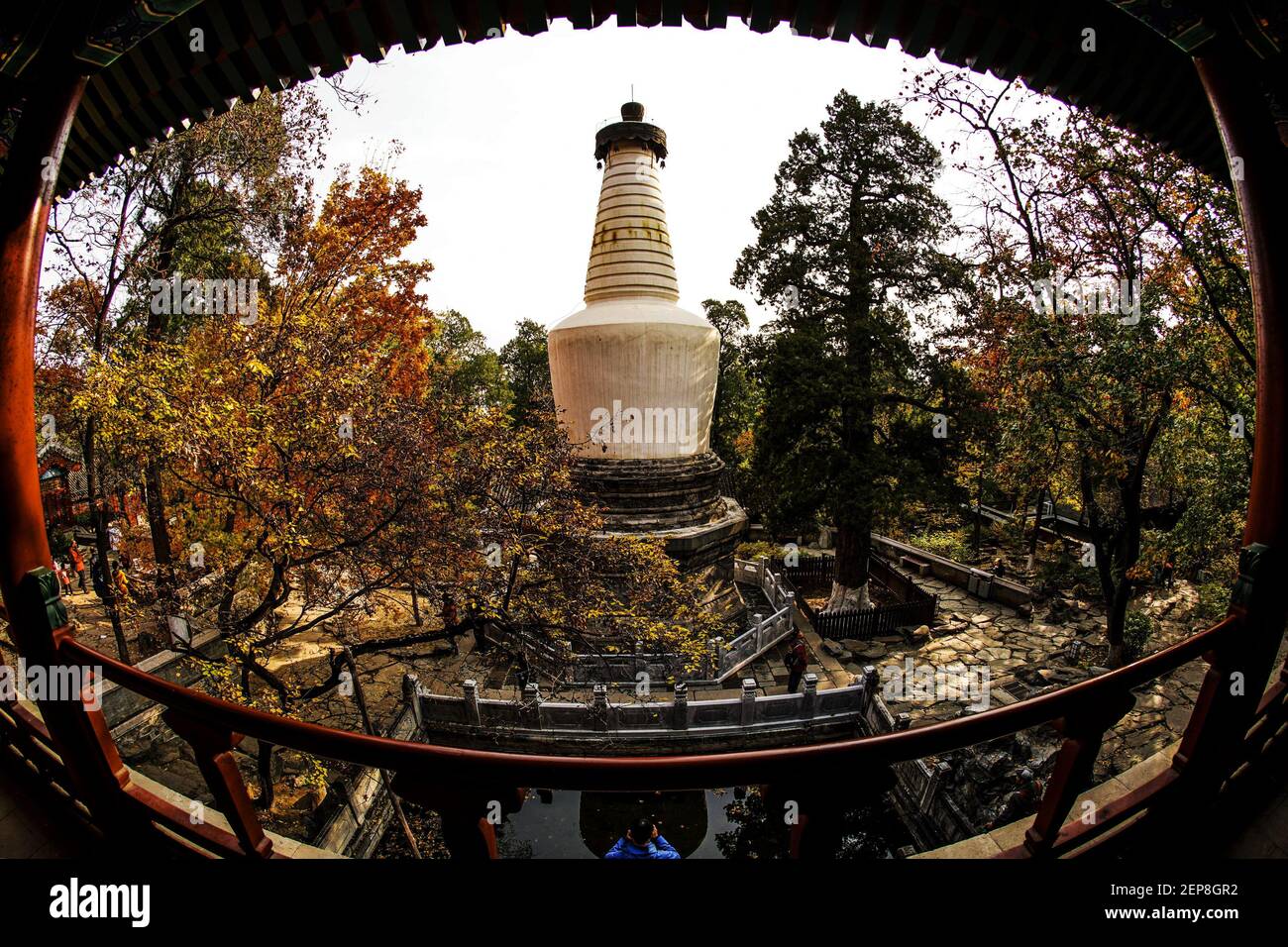 Beijing,CHINA-Autumn at Dajue Temple in Xishan. Dajue Temple is located ...