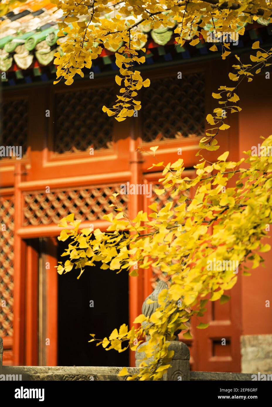 Beijing,CHINA-Autumn at Dajue Temple in Xishan. Dajue Temple is located ...