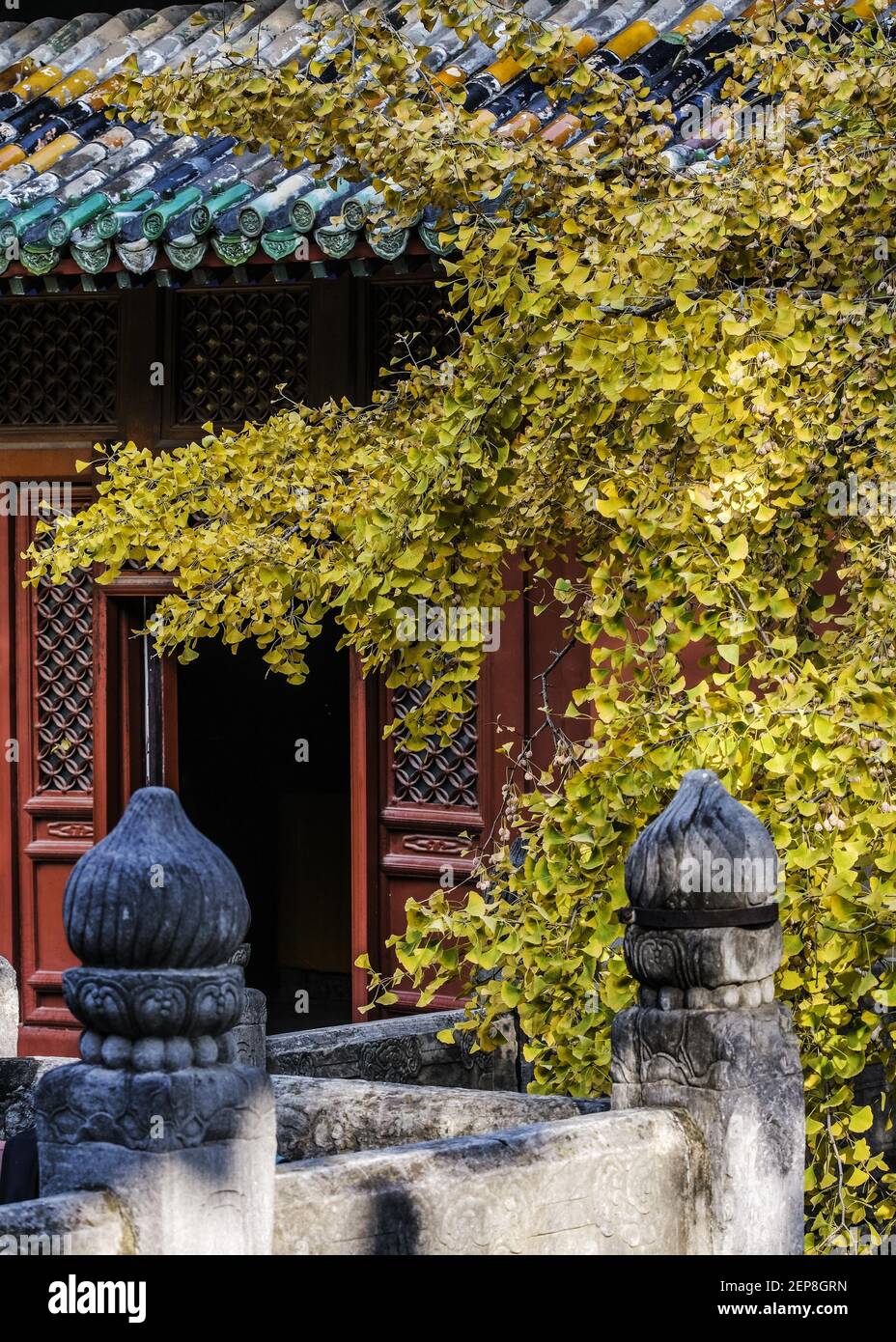 Beijing,CHINA-Autumn at Dajue Temple in Xishan. Dajue Temple is located ...
