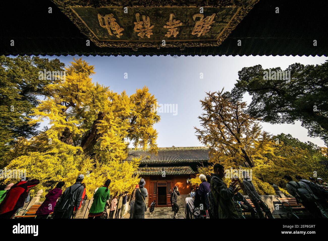 Beijing,CHINA-Autumn at Dajue Temple in Xishan. Dajue Temple is located ...
