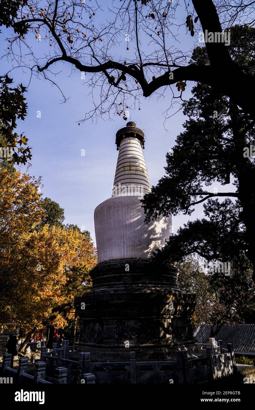 Beijing,CHINA-Autumn at Dajue Temple in Xishan. Dajue Temple is located ...