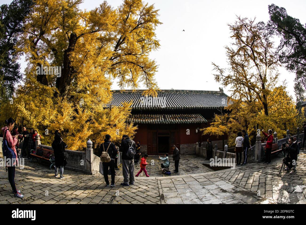 Beijing,CHINA-Autumn at Dajue Temple in Xishan. Dajue Temple is located ...