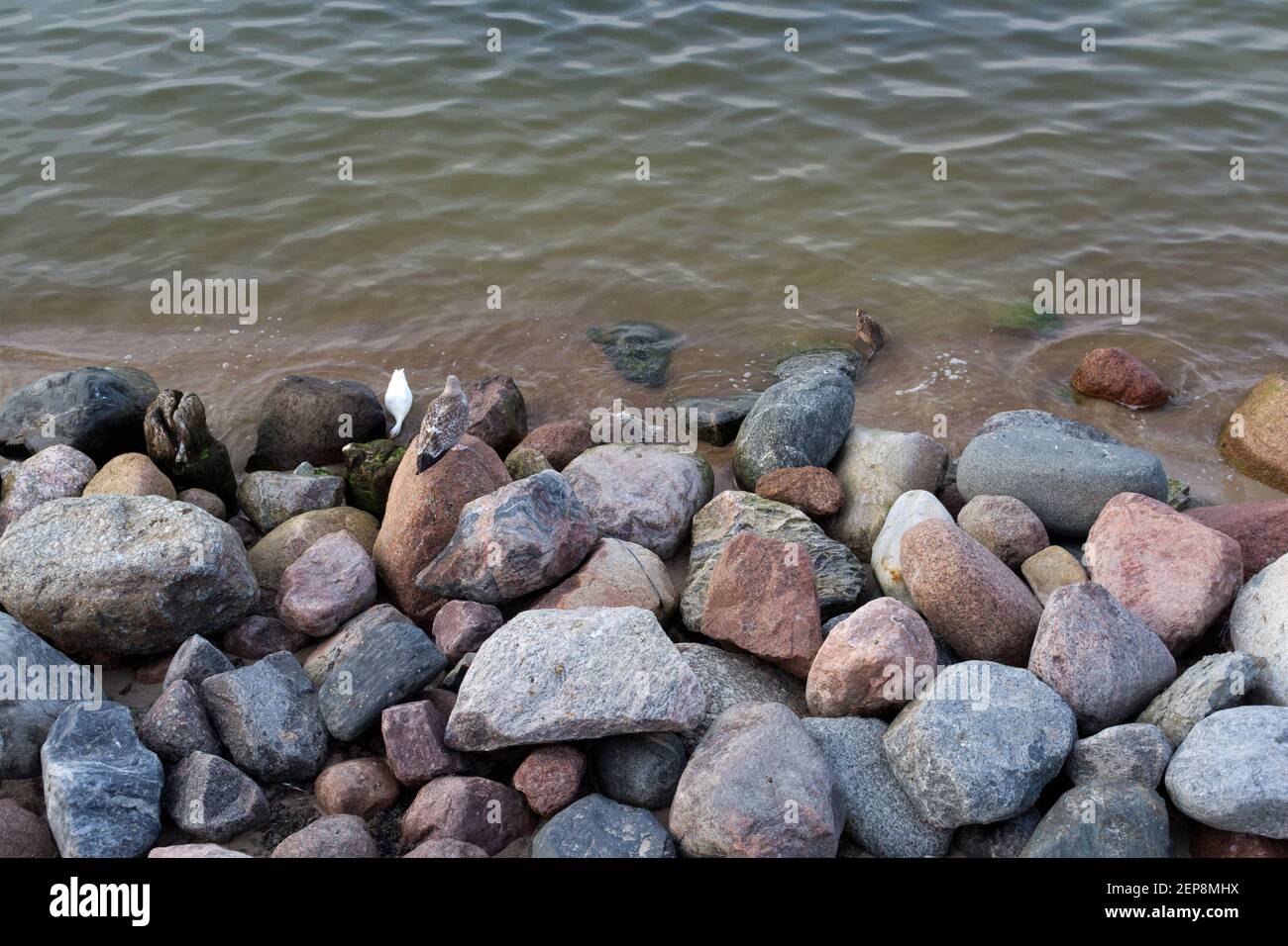 Anti wave dam hi-res stock photography and images - Alamy