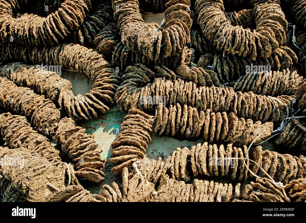 on sale : combustible = dried excrements !!! Stock Photo - Alamy