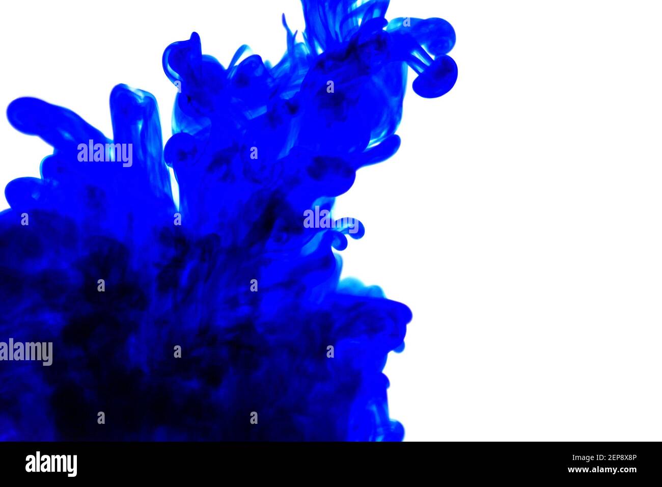 blue ink in water on white background.Blot ink. Blue abstract paint on ...