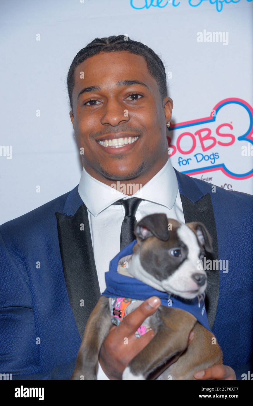 Avery Williamson attends the North Shore Animal League, America's 2019 ...