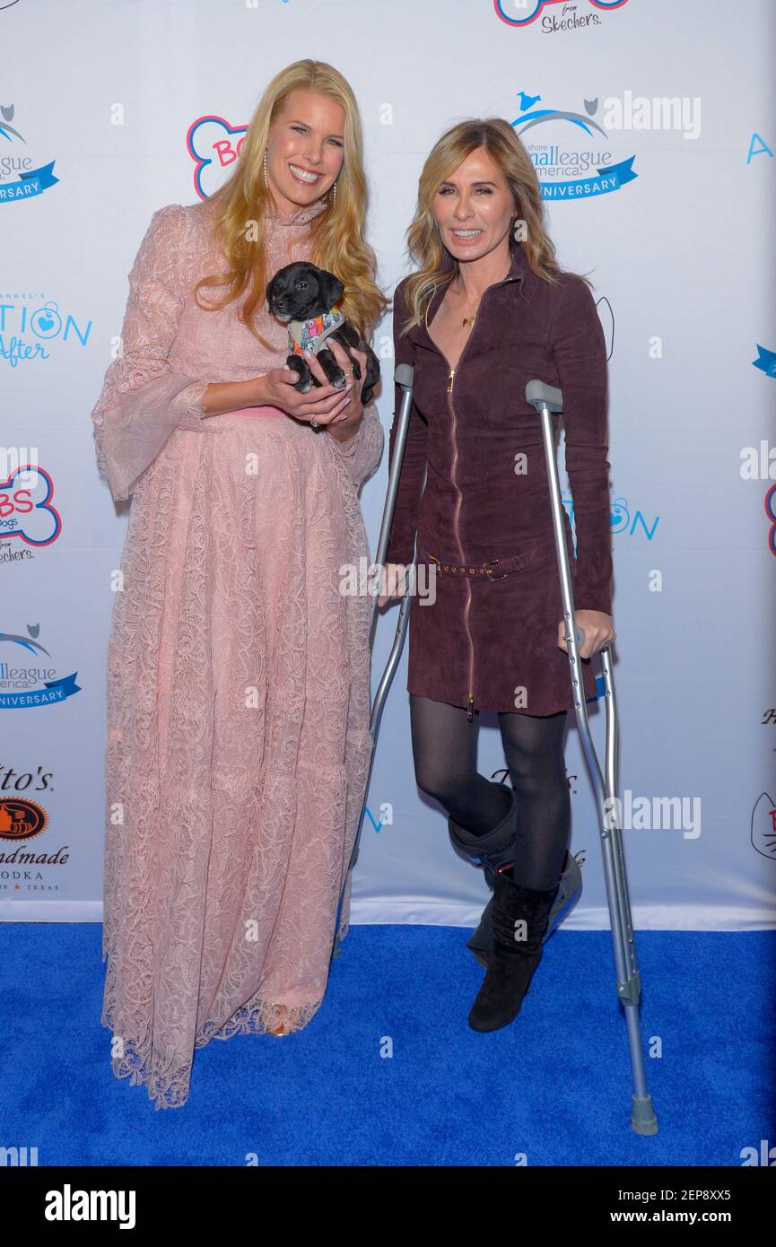 Beth Stern and Lee Radziwill attend the North Shore Animal League ...