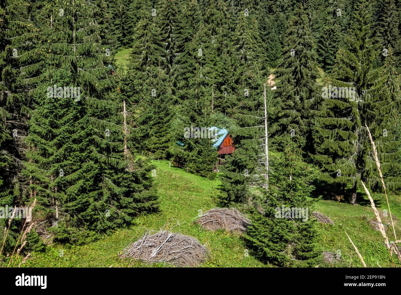 Trekking hut forest window hi-res stock photography and images - Alamy