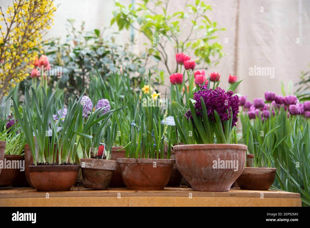Commercial landscaping with flowers hi-res stock photography and images ...