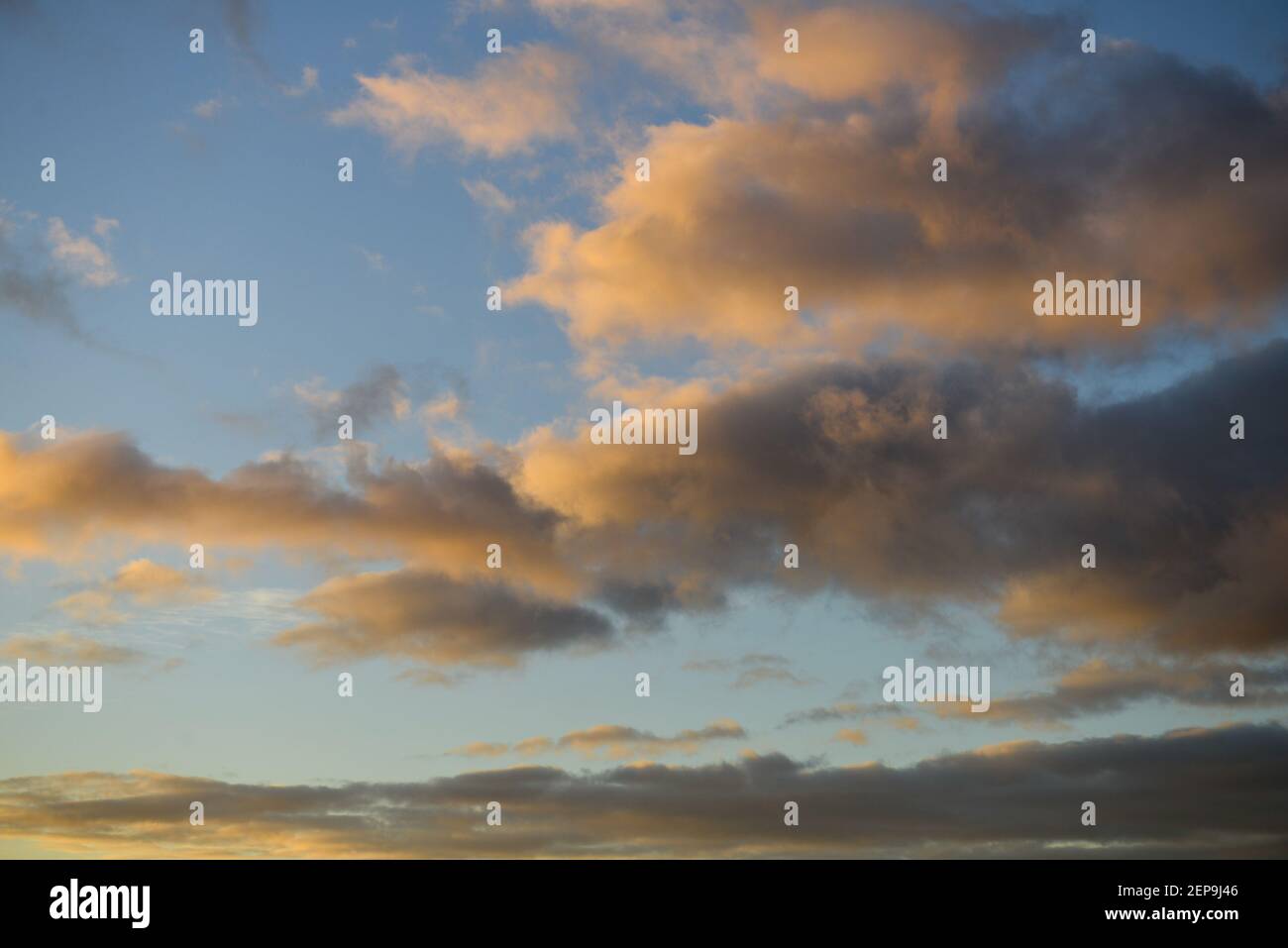 Background calm sky texture with yellow clouds at sunset Stock Photo ...