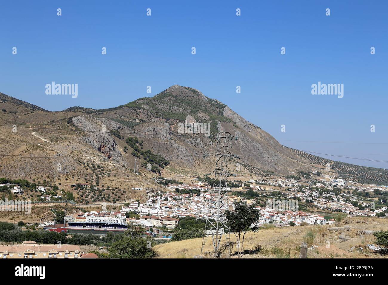 Typical rural landscape with olives and corn fields. Andalusia, Spain ...