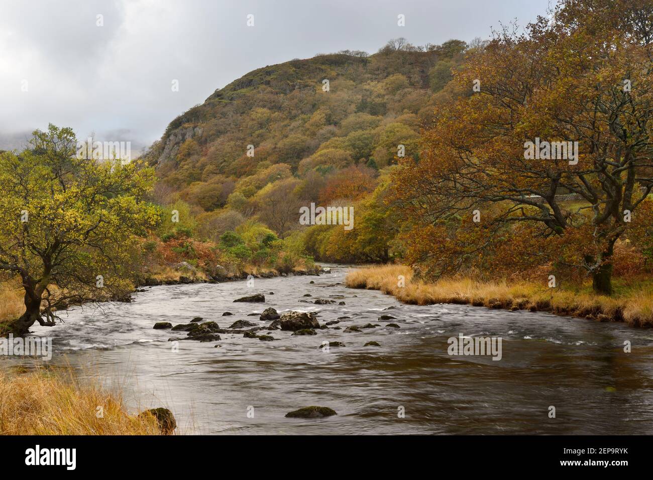 Autumn colours surrounding the Afon Glaslyn in Snowdonia, Wales, UK ...