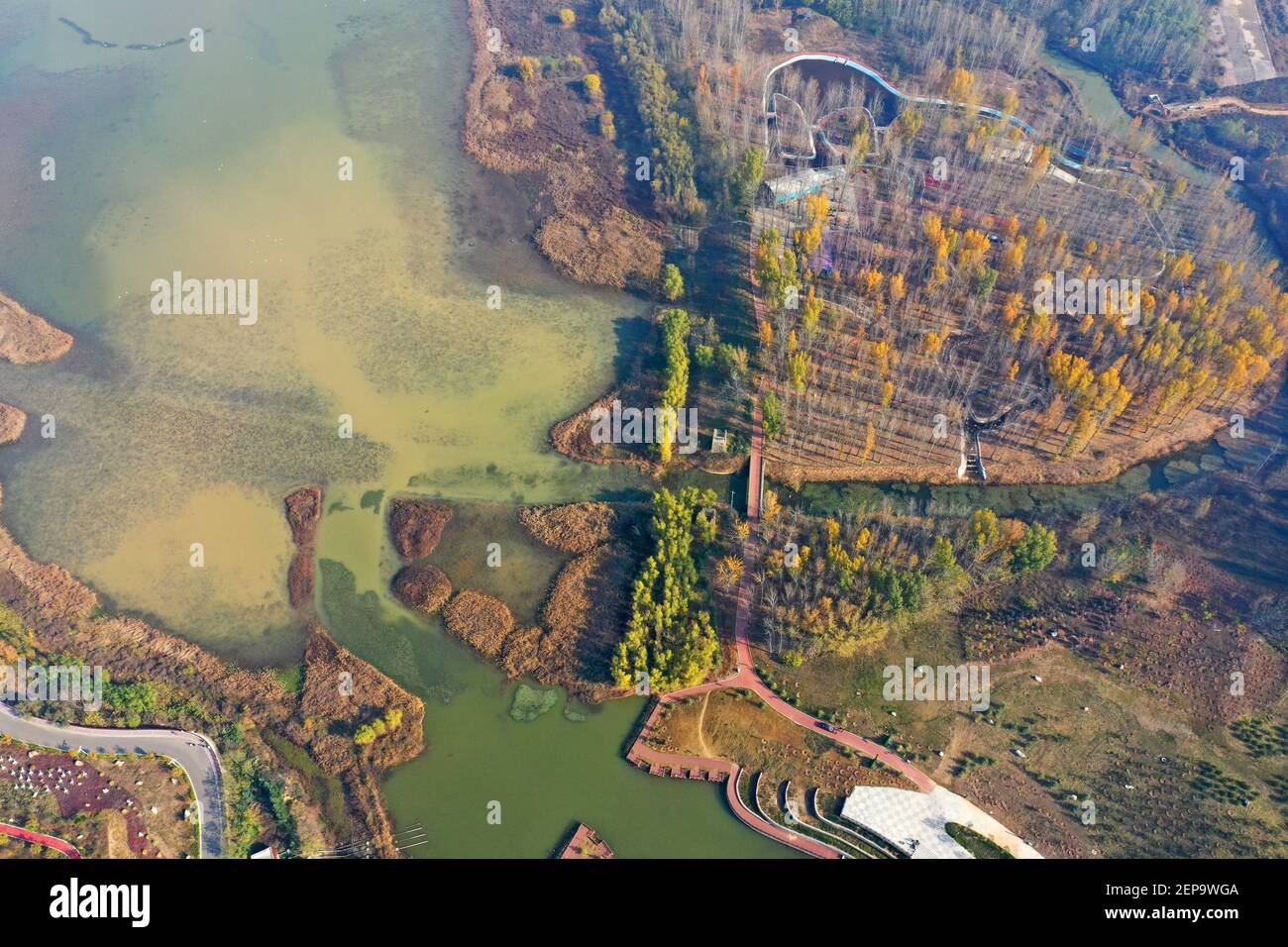 Henan,CHINA-Overlooking the Yellow River wetland nature reserve in ...