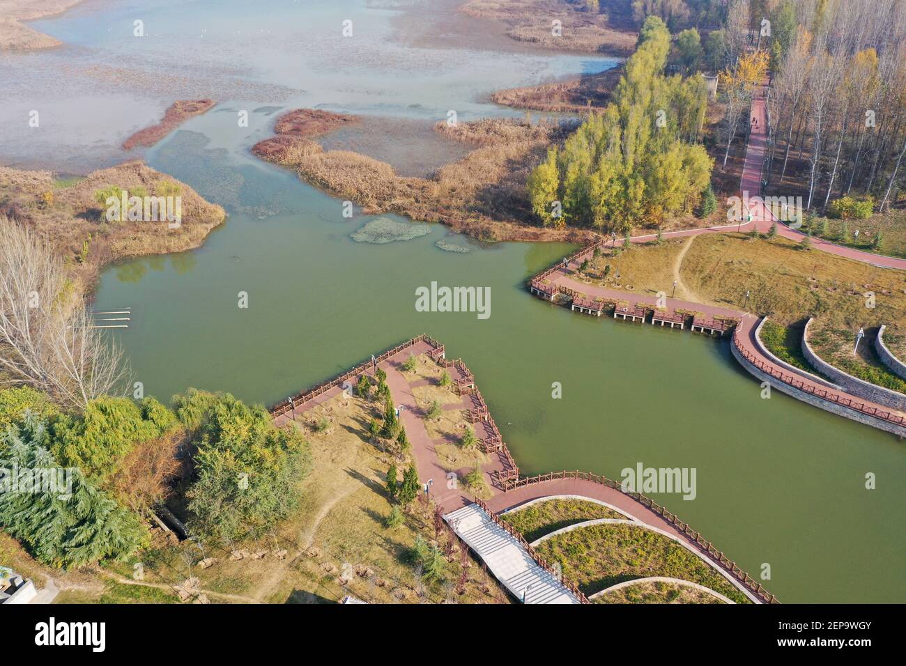 Henan,CHINA-Overlooking the Yellow River wetland nature reserve in ...