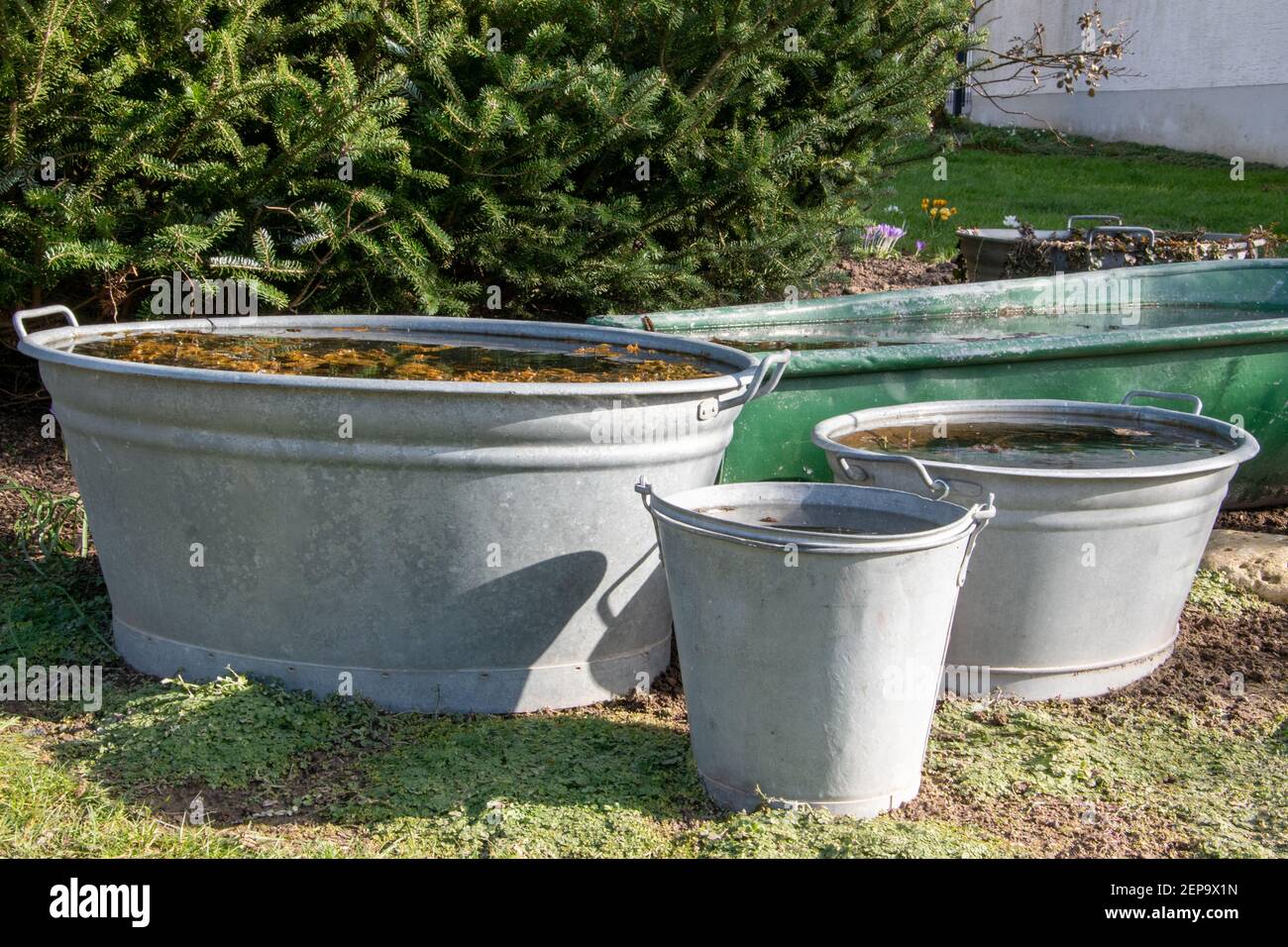 Three old zinc tubs and buckets in a garden. They are filled with water ...