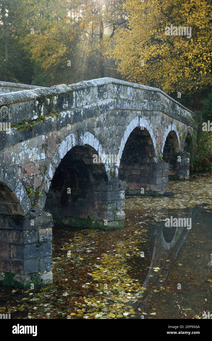 The Palladian Bridge surrounded by autumn colours at Stourhead ...
