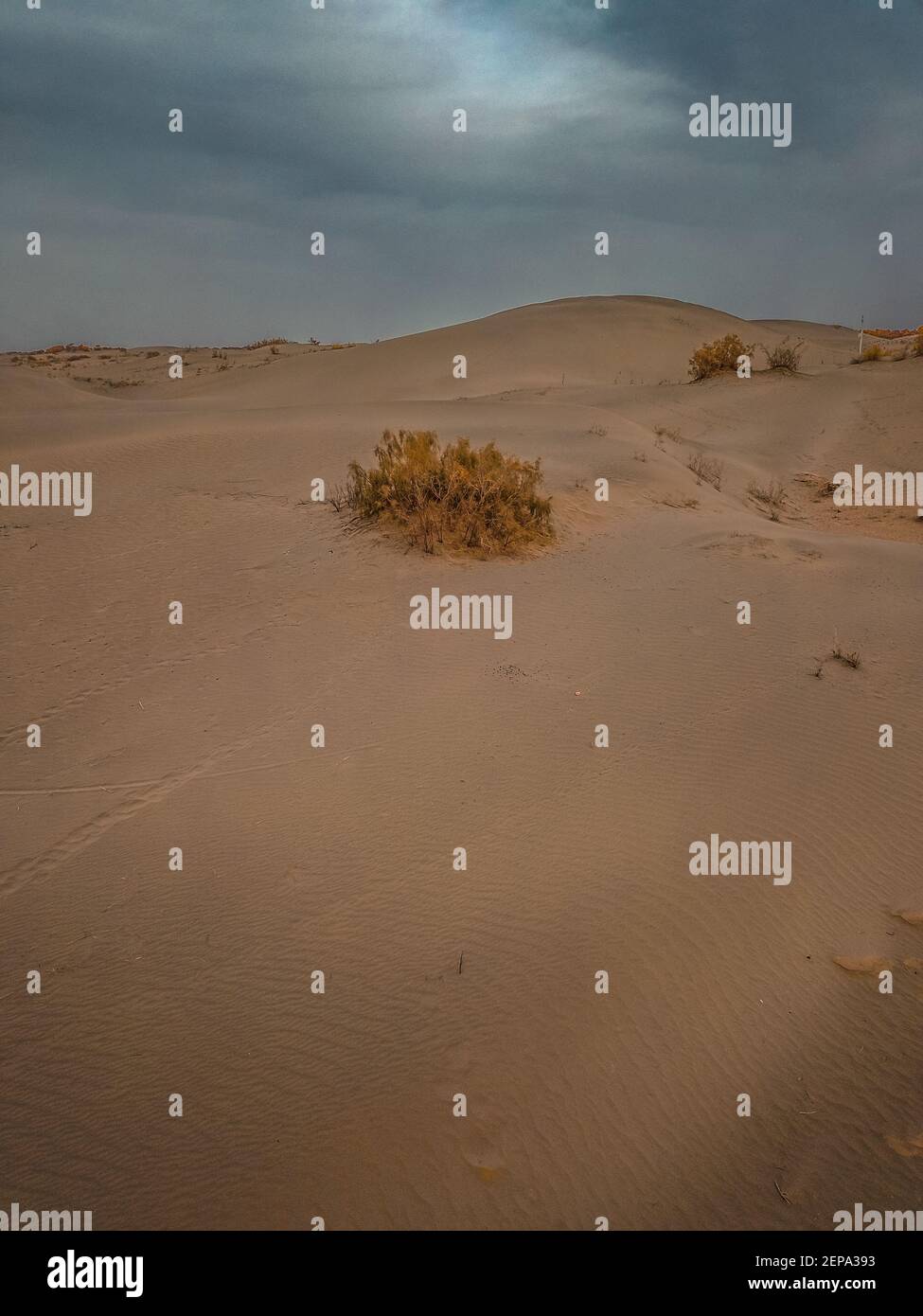 Xinjiang,CHINA-Taklamakan desert, located in the center of tarim basin ...