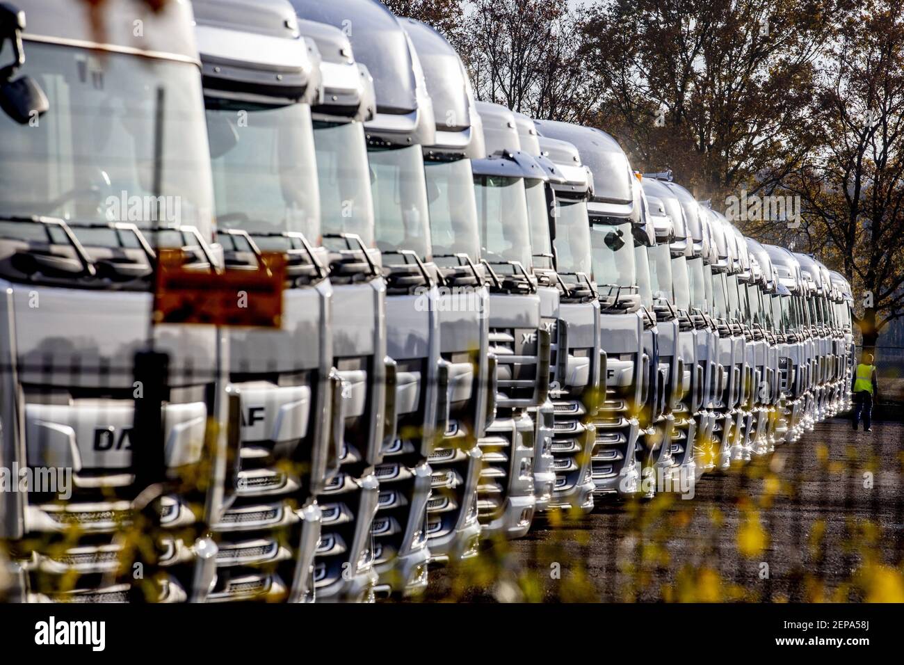 EINDHOVEN, centre, 22-11-2019, Trucks in a raw at the factory of DAF ...
