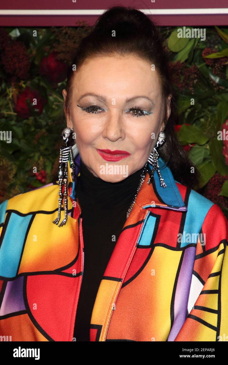 Frances Barber attends the 65th Evening Standard Theatre Awards at the ...