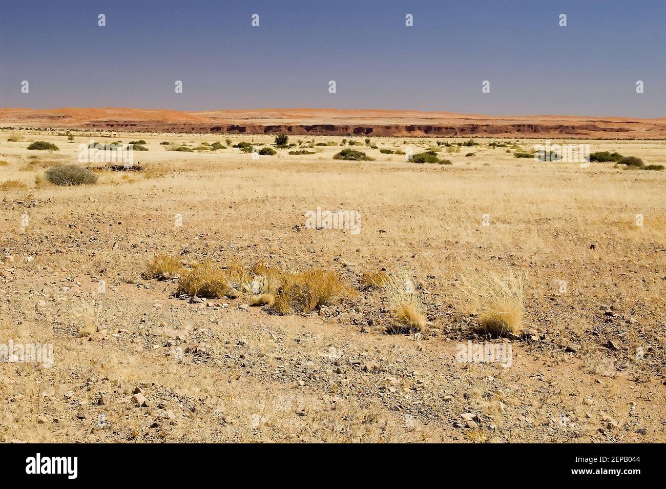 Namib desert border Stock Photo - Alamy