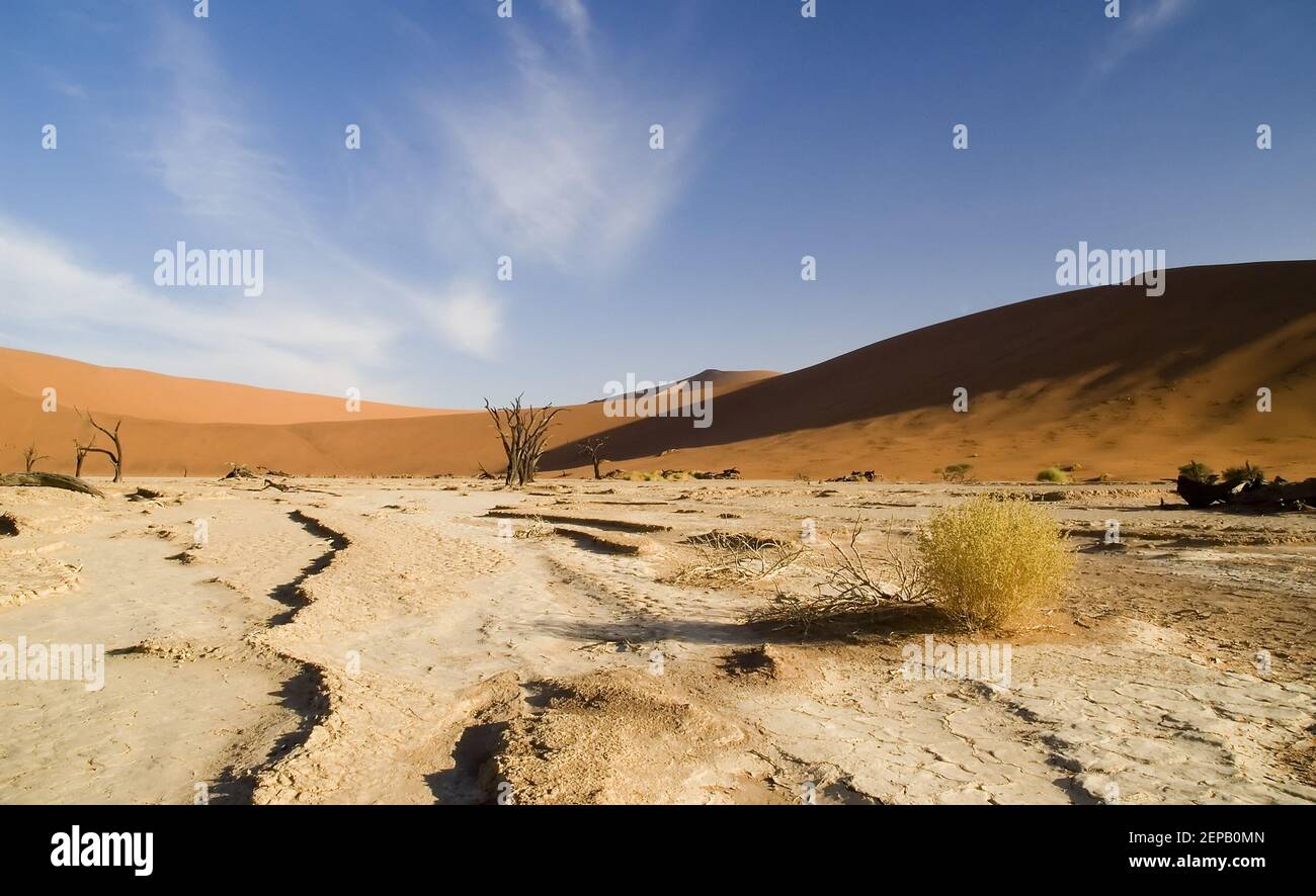 Windy tracks hi-res stock photography and images - Alamy