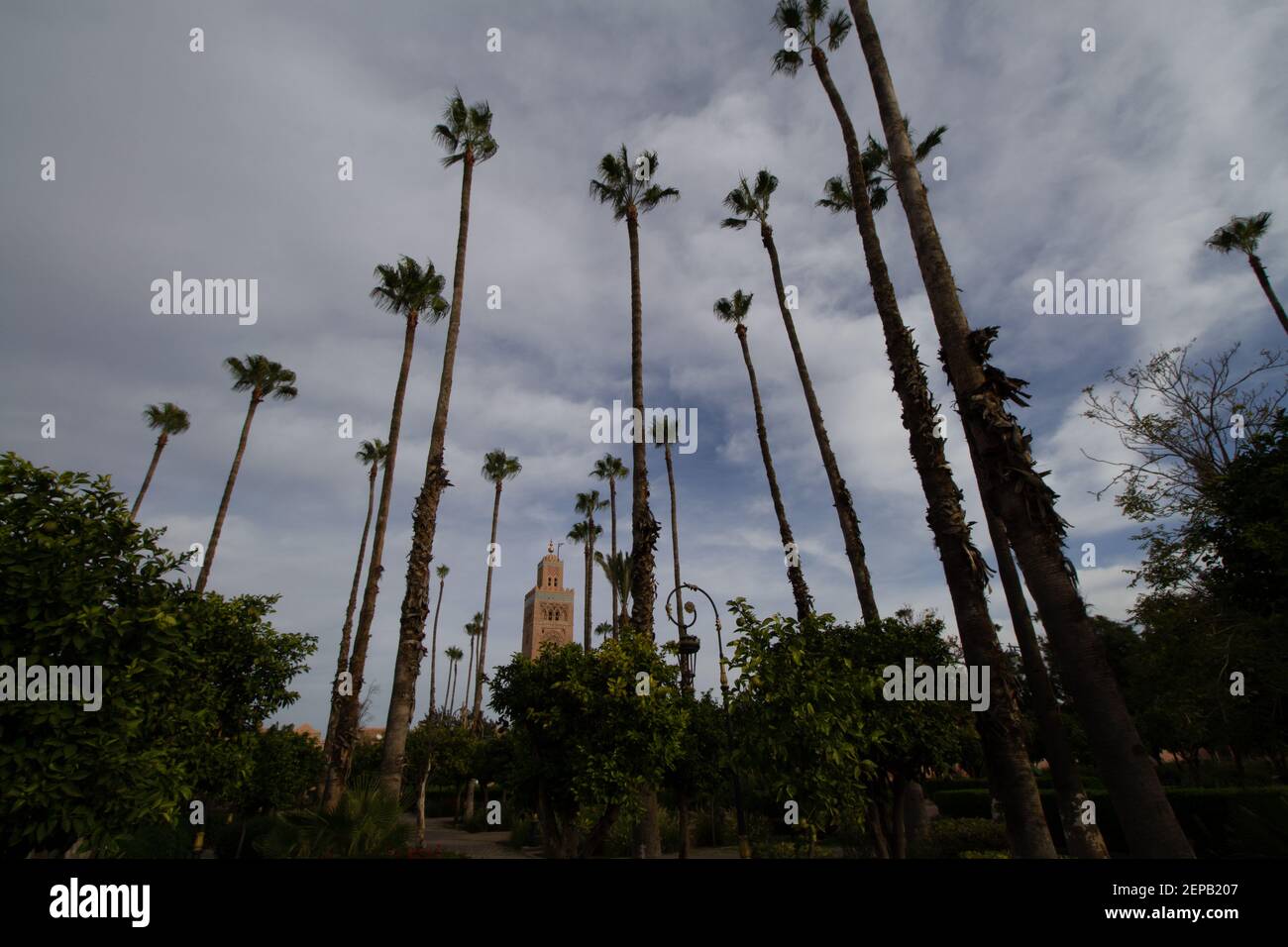 Mosque tall architecture hi-res stock photography and images - Alamy