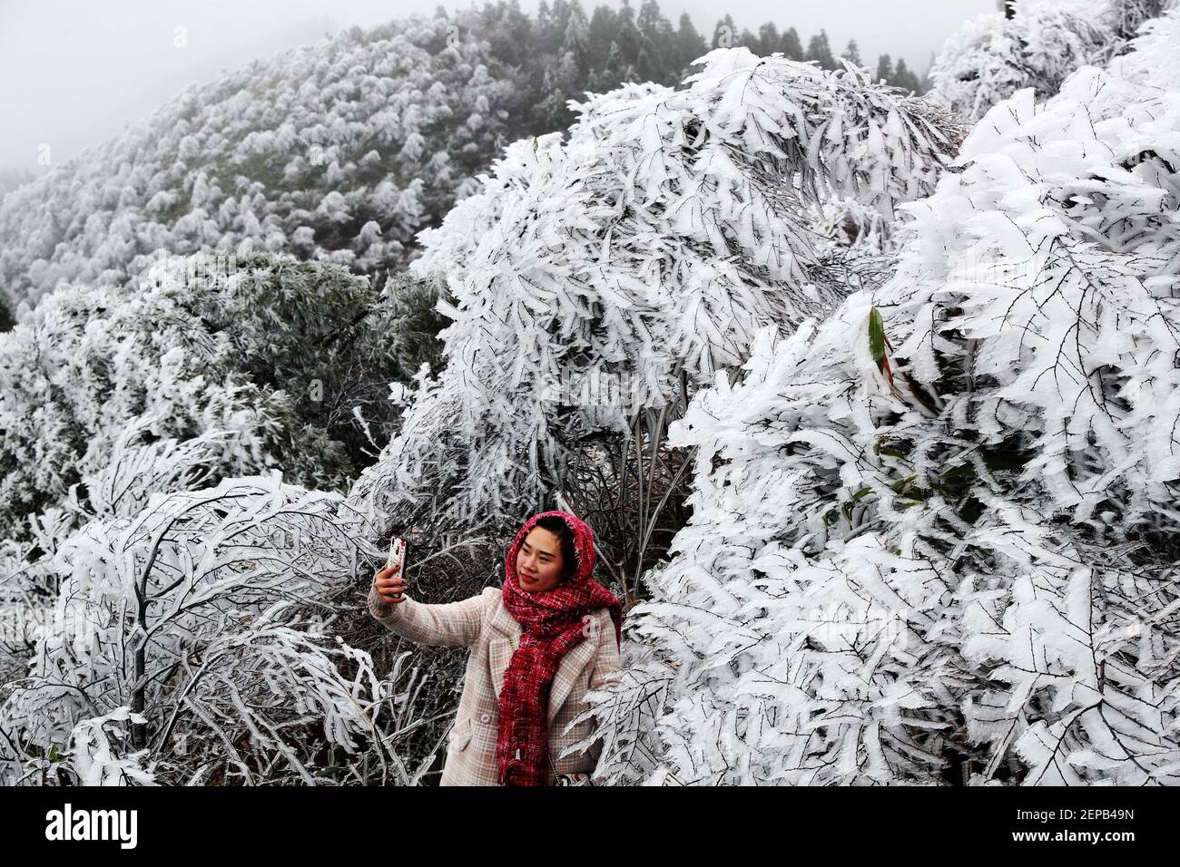 Chongqing,CHINA-On November 26, 2019, under the influence of the cold ...