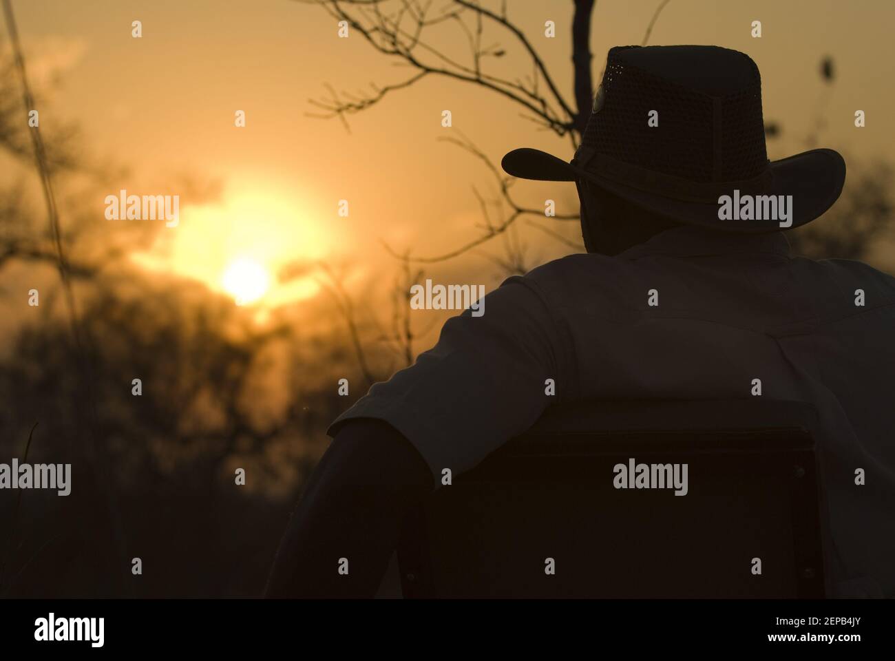 Safari tracker in the sundown Stock Photo - Alamy