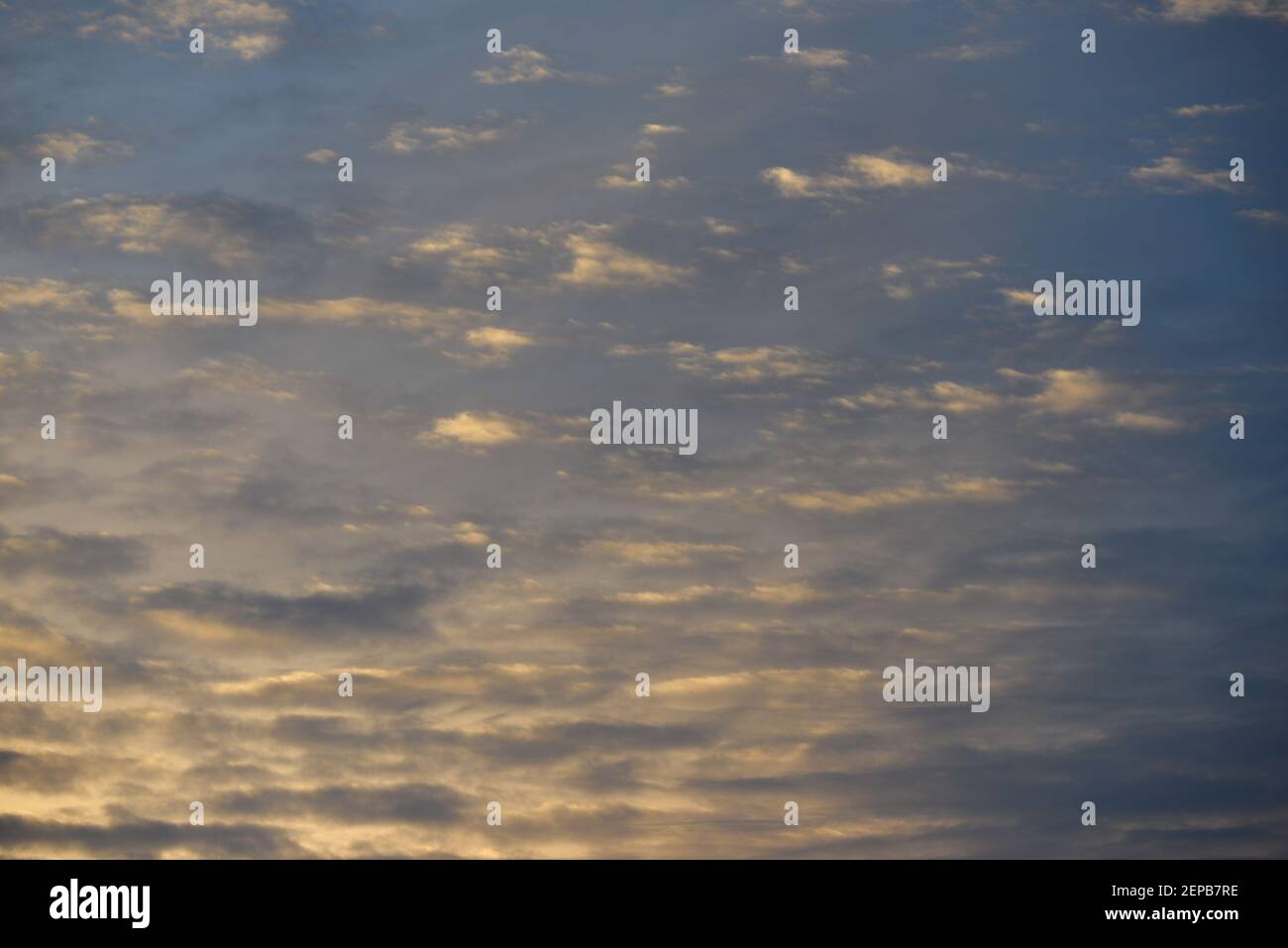 Background pastel sky texture with several little clouds at sunrise ...