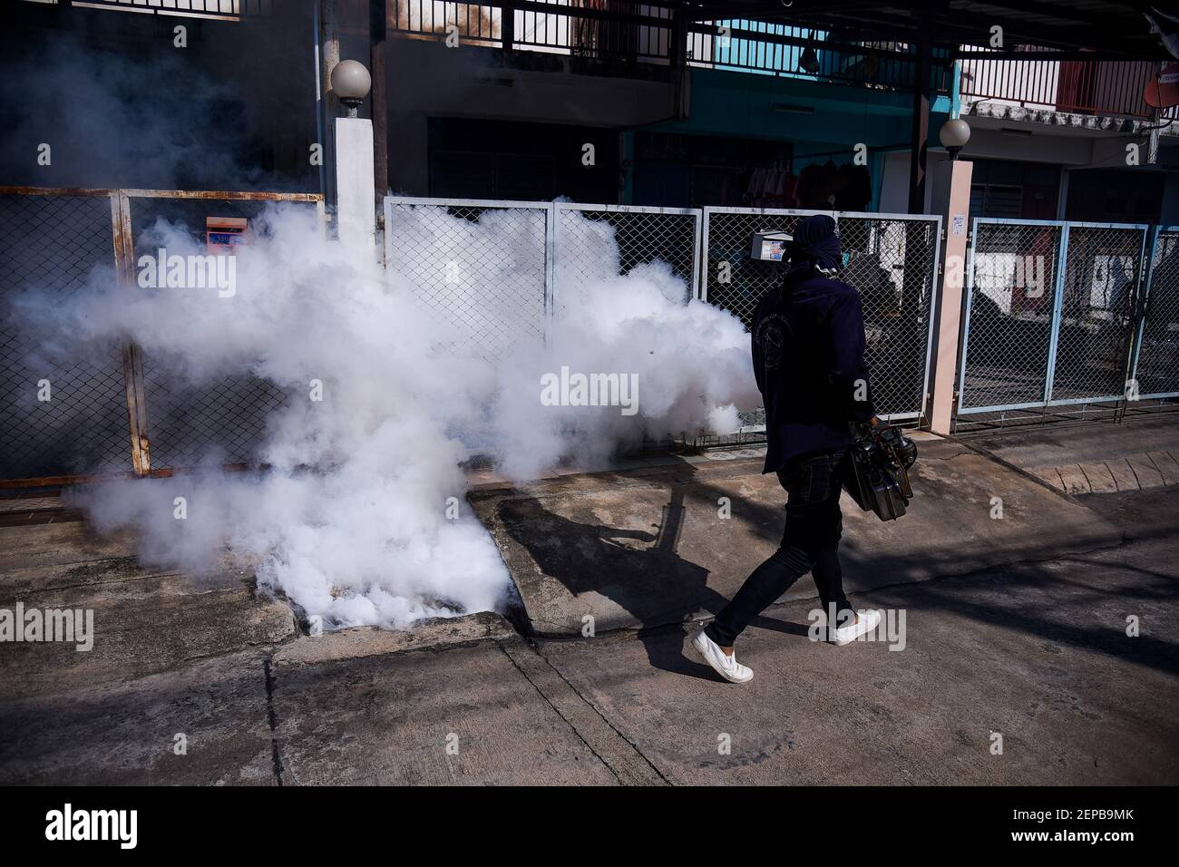 Man spray fogging to eliminate mosquitoes that cause dengue hemorrhagic ...