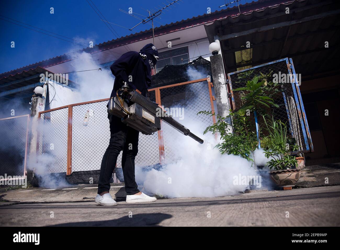 Man spray fogging to eliminate mosquitoes that cause dengue hemorrhagic ...