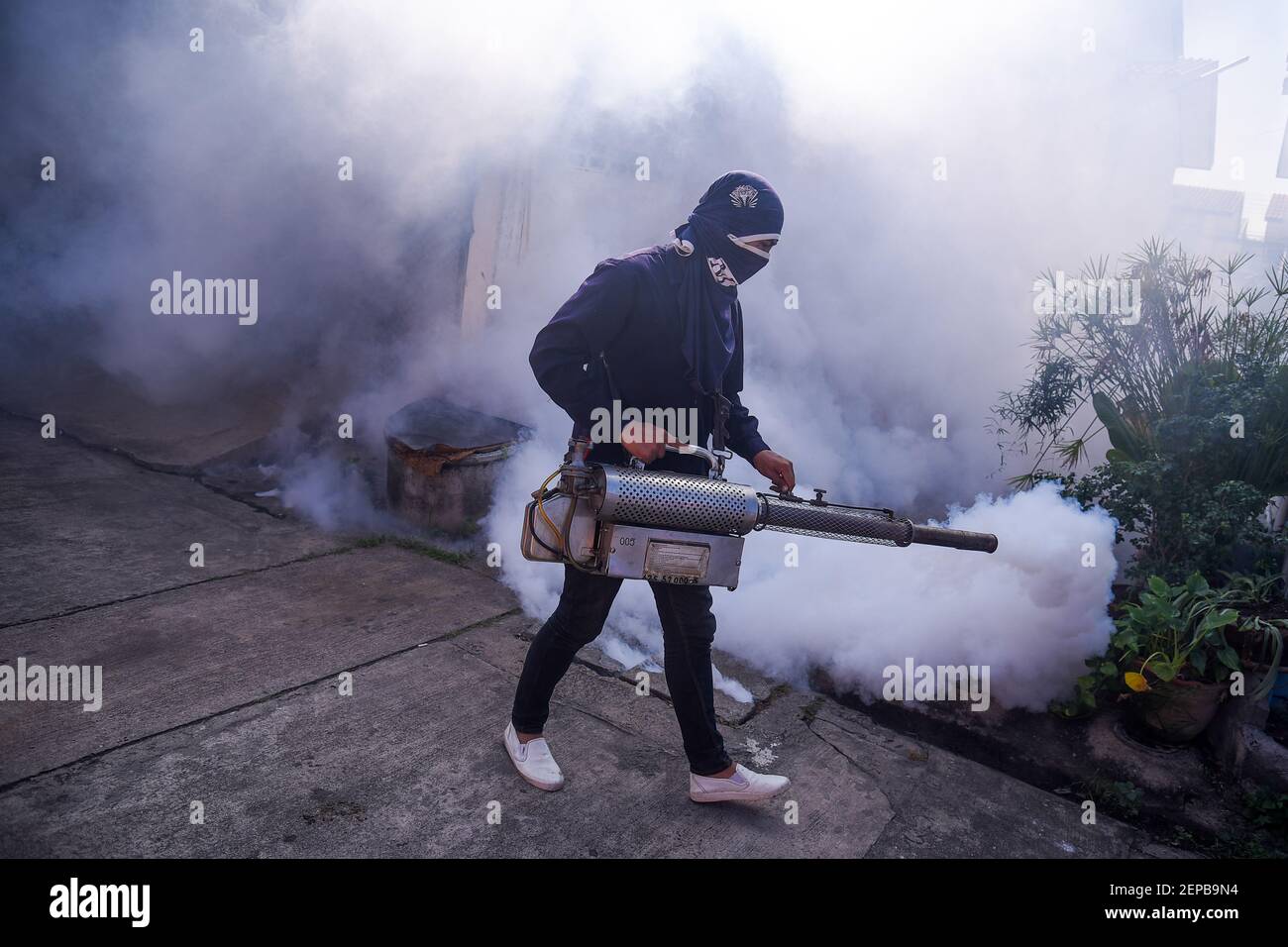 Man spray fogging to eliminate mosquitoes that cause dengue hemorrhagic ...